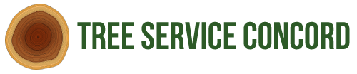 Tree Service Concord California | concordtreeservicepros.com